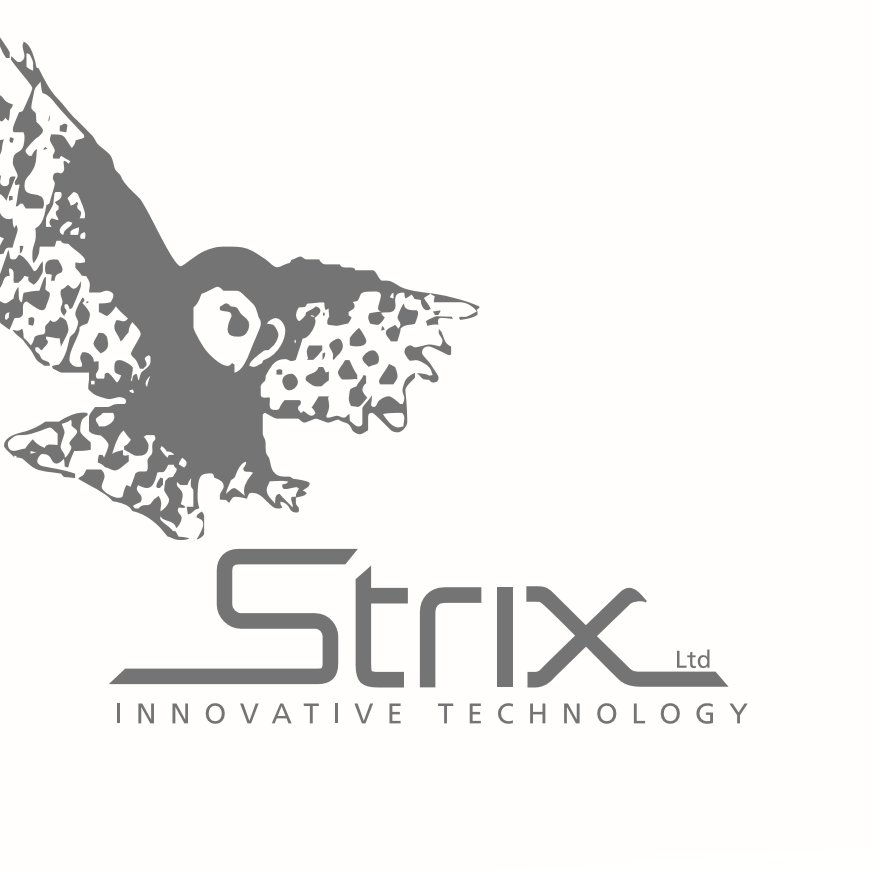 Strix Group Org Chart + Executive Team