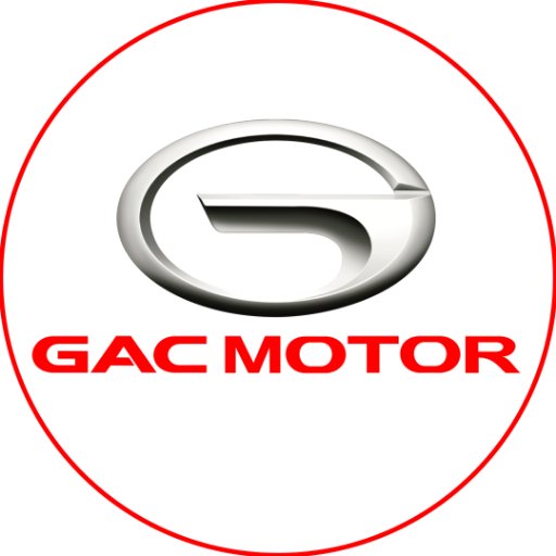 GAC Nigeria Org Chart + Executive Team