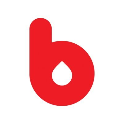 Biogroup-LCD Org Chart + Executive Team