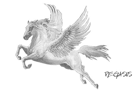 Org Chart Asus Korea - The Official Board