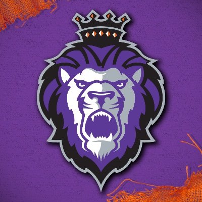 Reading Royals Org Chart + Executive Team