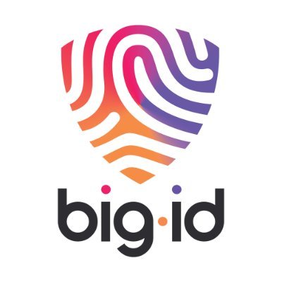 BigID Org Chart + Executive Team