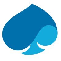 Capgemini Government Solutions Org Chart + Executive Team