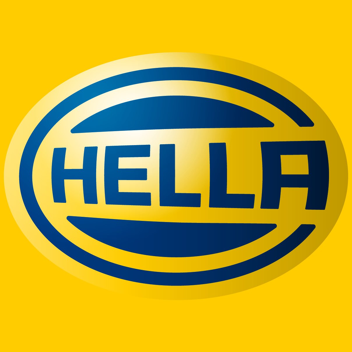 Hella Electronics Org Chart + Executive Team
