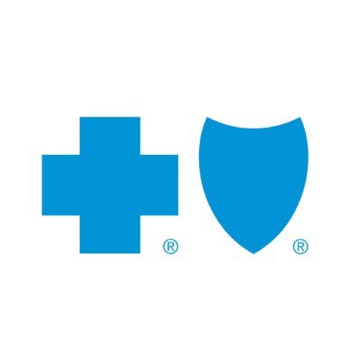 Blue Cross & Blue Shield of Minnesota Org Chart + Executive Team
