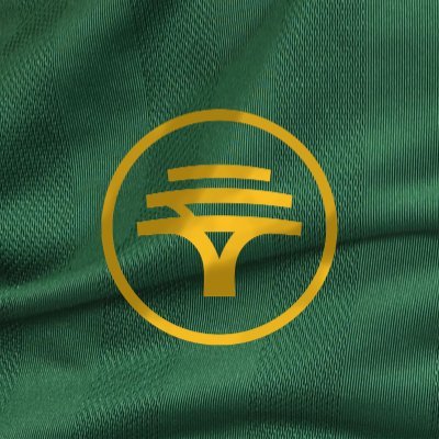 FNB South Africa Org Chart + Executive Team