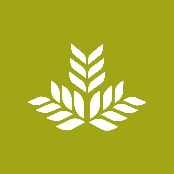 Northeast Georgia Health System Org Chart + Executive Team