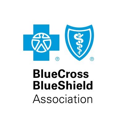 Blue Cross Blue Shield Org Chart + Executive Team