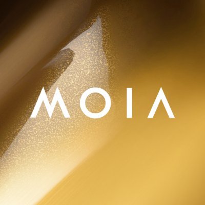 Moia Org Chart + Executive Team