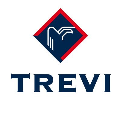 Trevi Group Org Chart + Executive Team