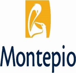 Montepio Org Chart + Executive Team