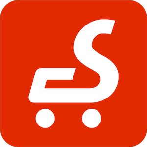 Sendo Org Chart + Executive Team