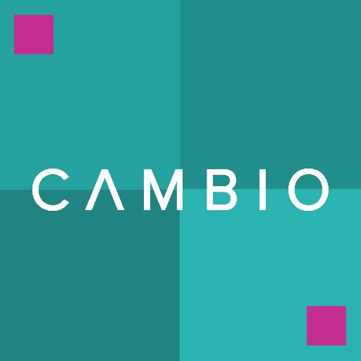 Cambio Org Chart + Executive Team