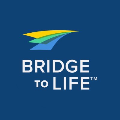 Bridge to Life Org Chart + Executive Team