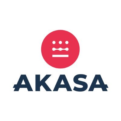 Akasa Org Chart + Executive Team