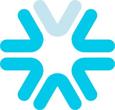 Volpara Health Org Chart + Executive Team