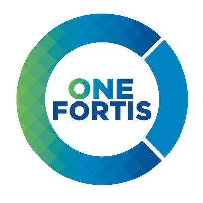 Fortis Solutions Group Org Chart + Executive Team