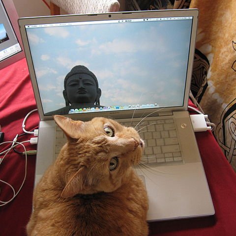 Gresham Technologies Org Chart + Executive Team