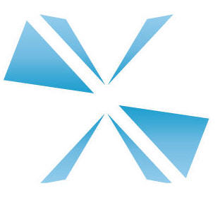 Vaxess Technologies Org Chart + Executive Team