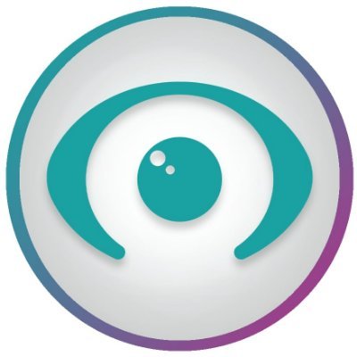 LifeSearch Org Chart + Executive Team