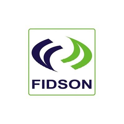 Fidson Healthcare Org Chart + Executive Team
