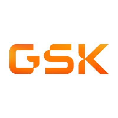 GSK Org Chart + Executive Team