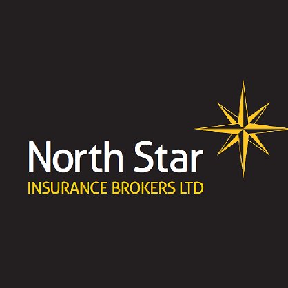 North Star Mutual Org Chart + Executive Team