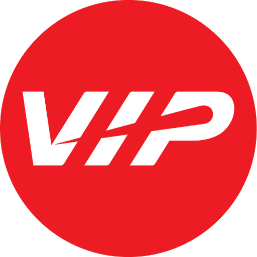 VIP Industries Org Chart + Executive Team