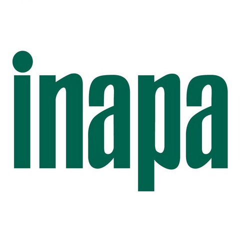Inapa Org Chart + Executive Team