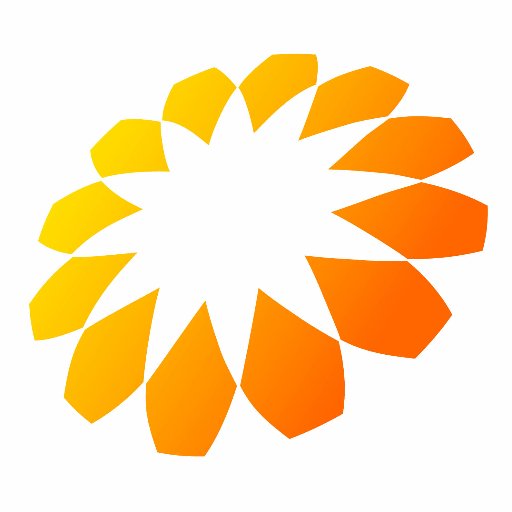 Sunshine Health Org Chart + Executive Team