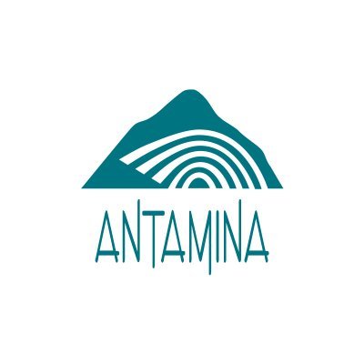 Antamina Org Chart + Executive Team