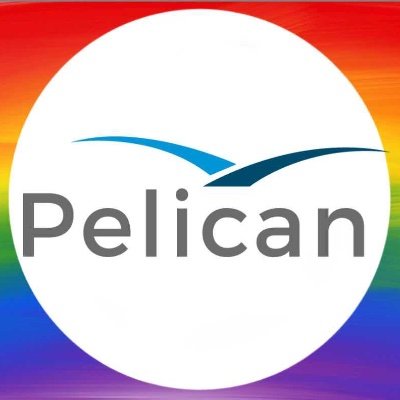 Pelican AI Org Chart + Executive Team