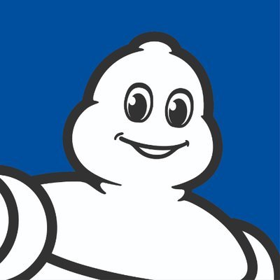 Michelin Org Chart + Executive Team