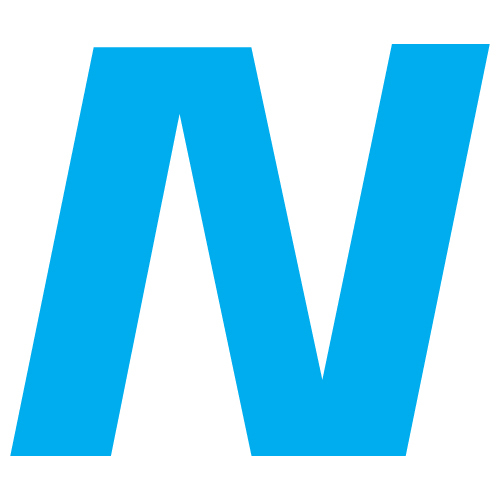 Nederman Org Chart Executive Team