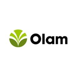 Olam Group Org Chart + Executive Team