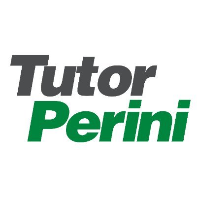 Tutor Perini Org Chart + Executive Team