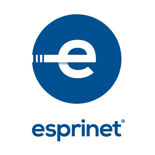 Esprinet Org Chart + Executive Team