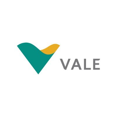 Vale Org Chart + Executive Team