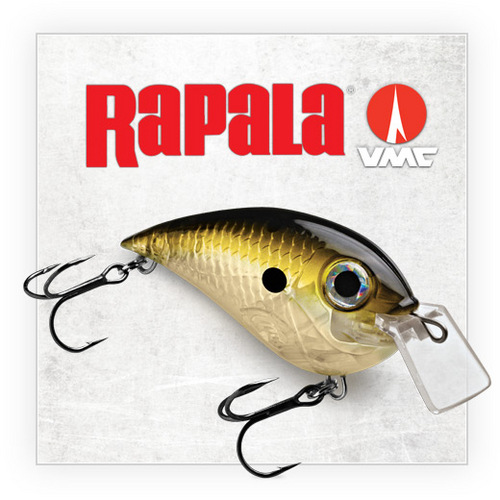Rapala VMC Org Chart + Executive Team