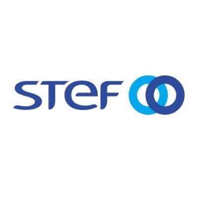 Stef Org Chart + Executive Team