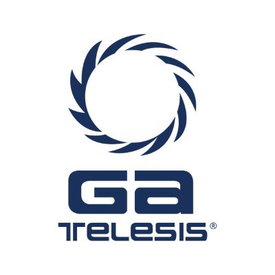 GA Telesis Org Chart + Executive Team