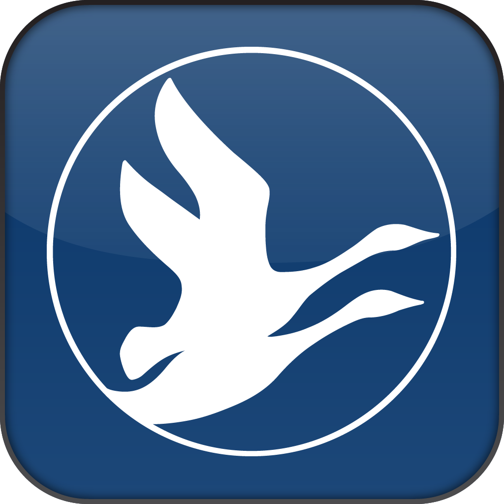 Hellmann Worldwide Logistics Org Chart + Executive Team