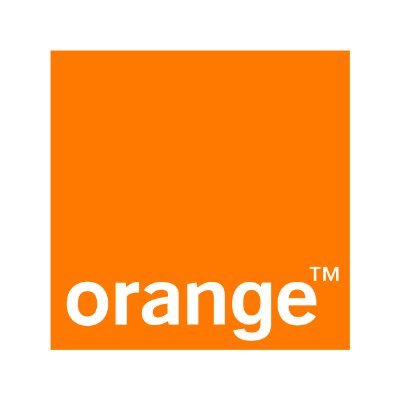 Orange Egypt Org Chart + Executive Team