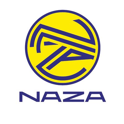 Naza Org Chart + Executive Team