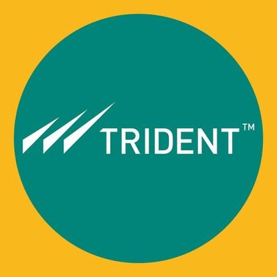 Trident Group Org Chart + Executive Team