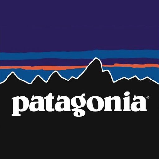 Patagonia Org Chart + Executive Team
