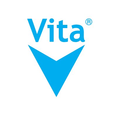 Vita Group Org Chart + Executive Team