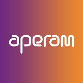 Aperam Org Chart + Executive Team