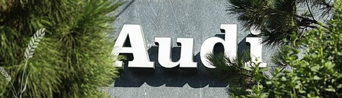 Bank Audi Org Chart + Executive Team