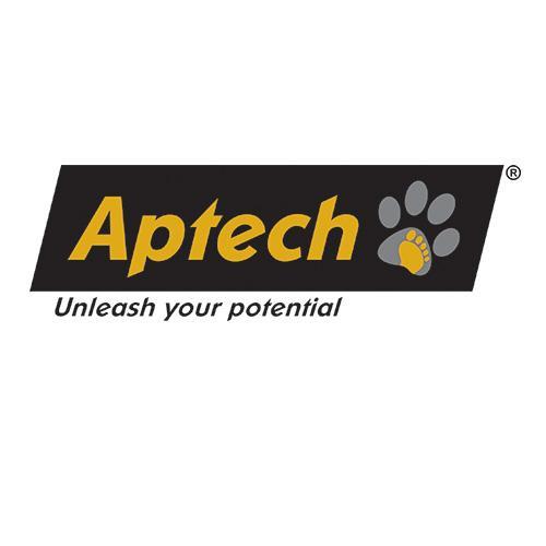 Aptech Org Chart + Executive Team